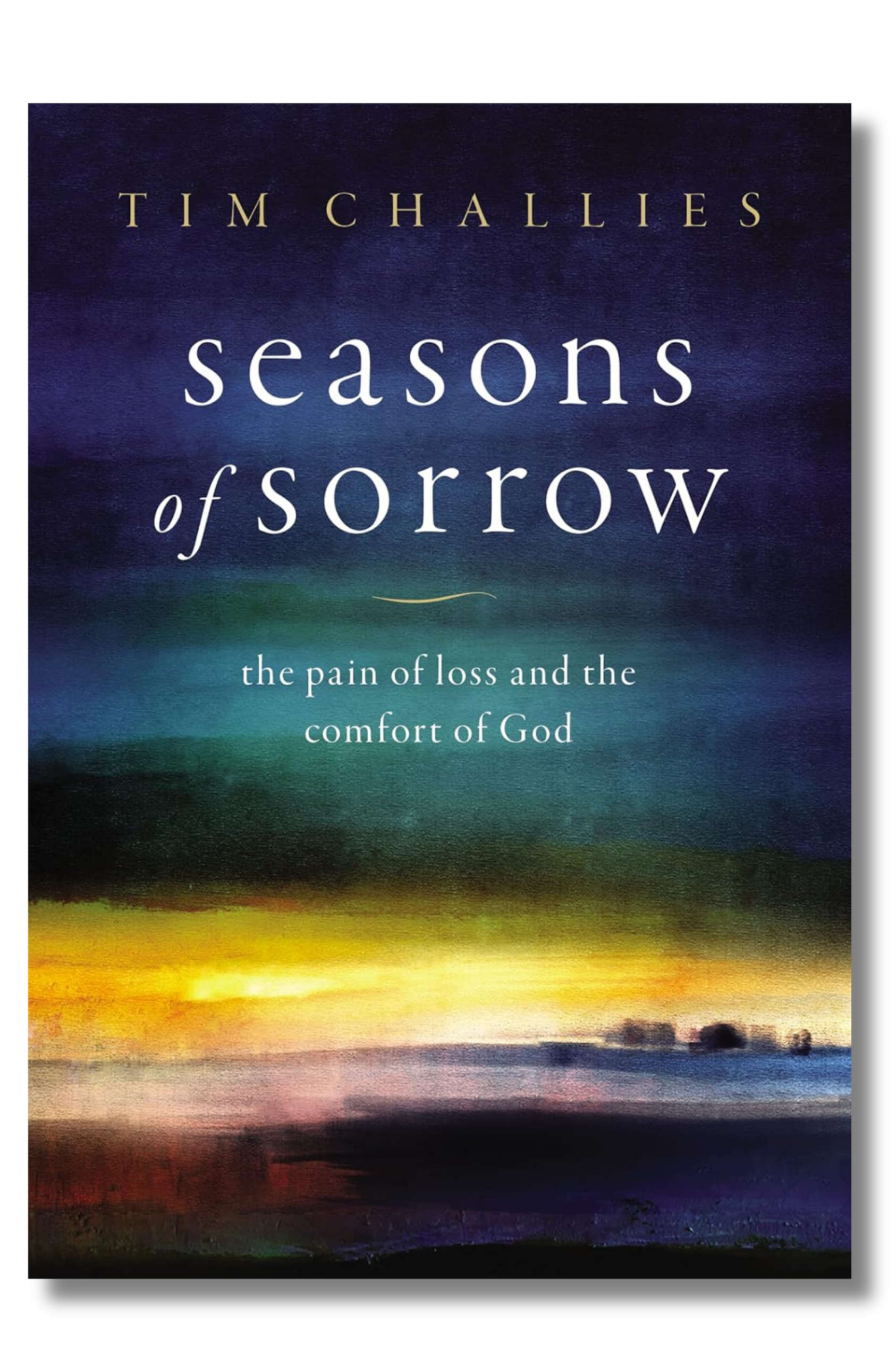 Books by Tim Challies – Reformed Book Services