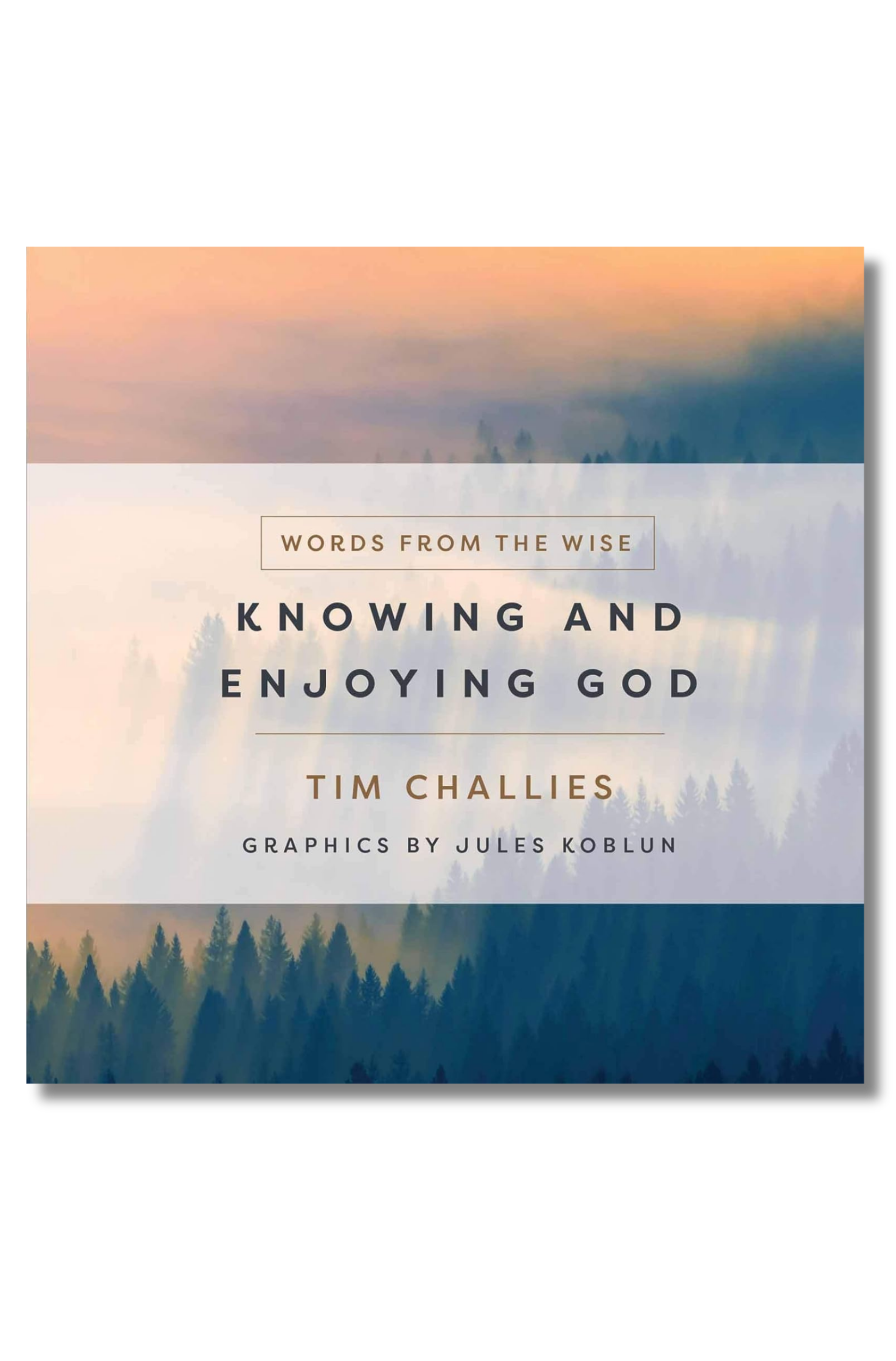 Books by Tim Challies – Reformed Book Services