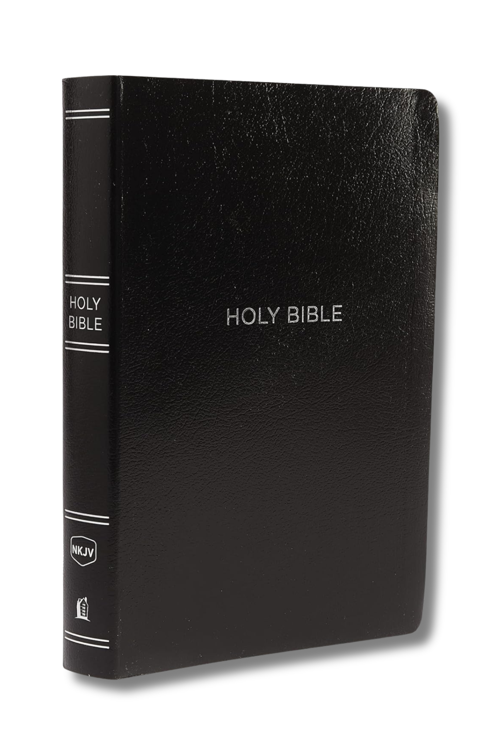 NKJV Bible - Thomas Nelson Giant Print Center-Column Reference (Imitat ...